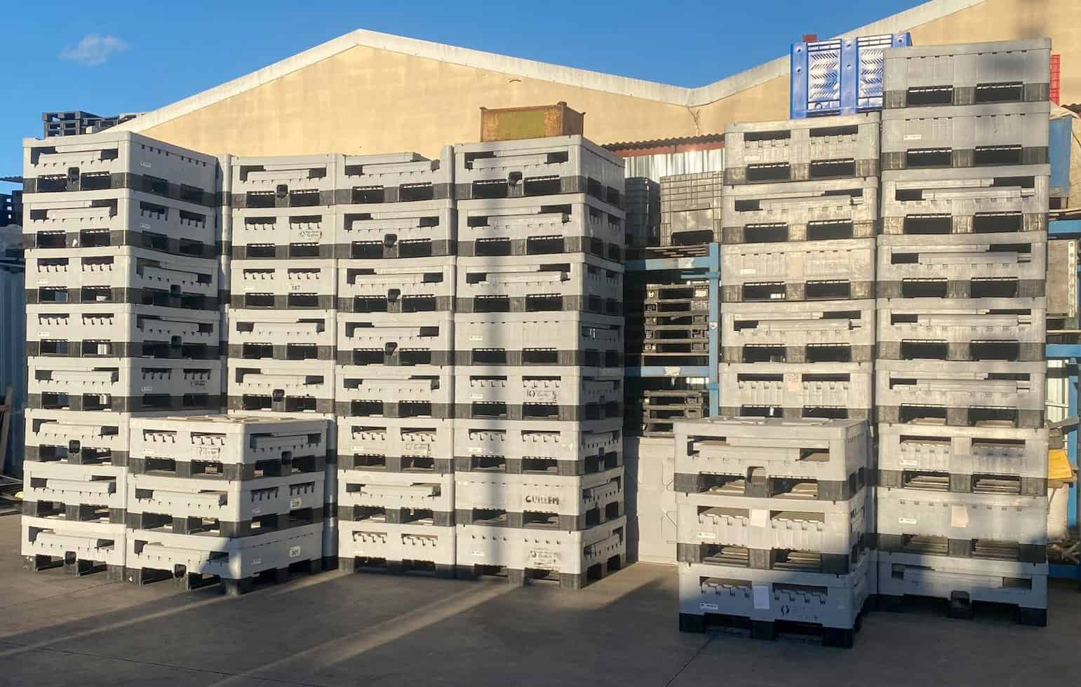 Huevo líquido - ContainerLoop